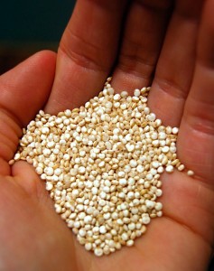 Quinoa with Toasted Hazelnuts and Dried Cranberries • The Heritage Cook